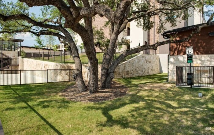 Landmark Grandview - Evolve Architects